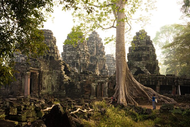 Discover Cambodias Heart: Siem Reap to Battambang Tours - The Sum Up