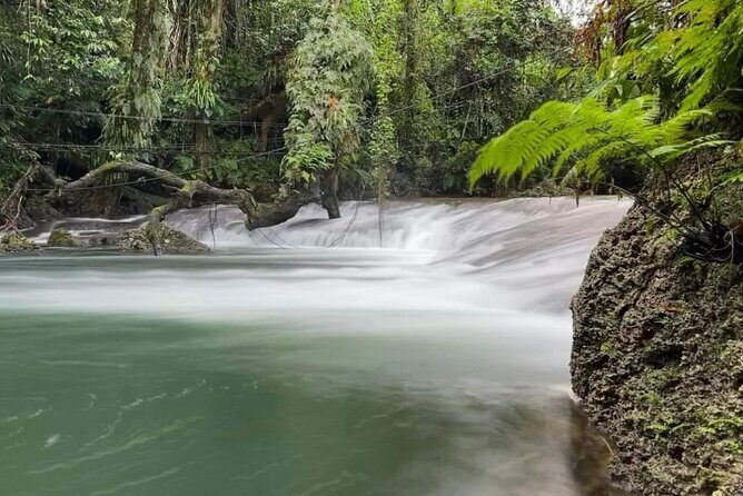 Discover Cascades & Turtle Experience with Yumi Tours - An In-Depth Look at the Experience