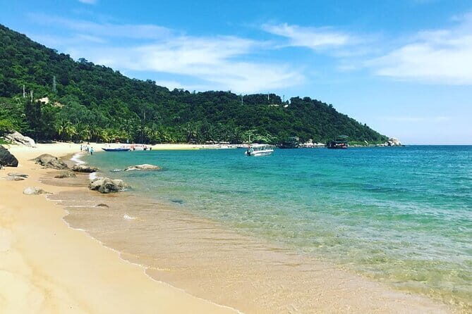 Discover Cham Island: Snorkeling Day Trip from Hoi An & Da Nang - Real Travelers’ Insights