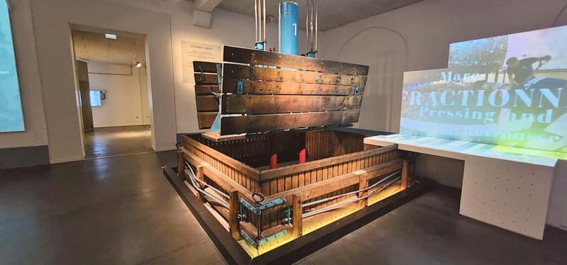 Discover Champagne Houses & Vineyards Secrets with Tastings - Key Points