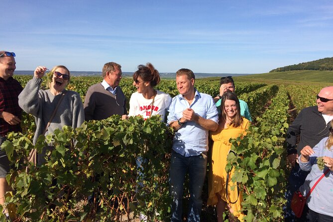 Discover Champagne in half a day in a Van - Who Will Love This Tour?