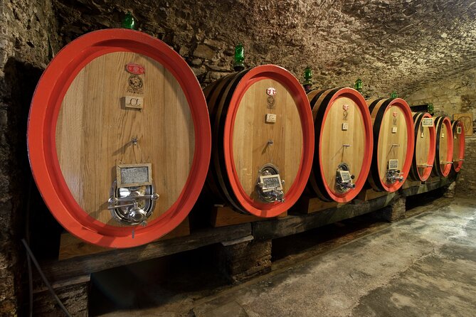 Discover Chianti Classico Wines DiWine Experience - Participant Information