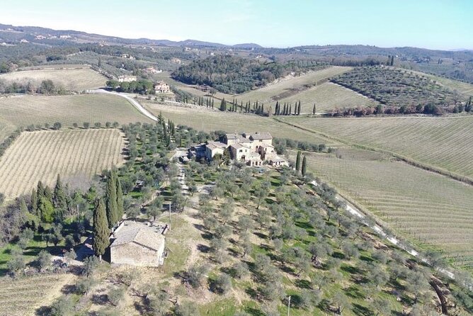Discover Chianti Classico Wines DiWine Experience - Scenic Vineyards and Countryside