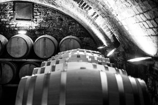 Discover Chianti Through its Wines - The Experience: Why It Works