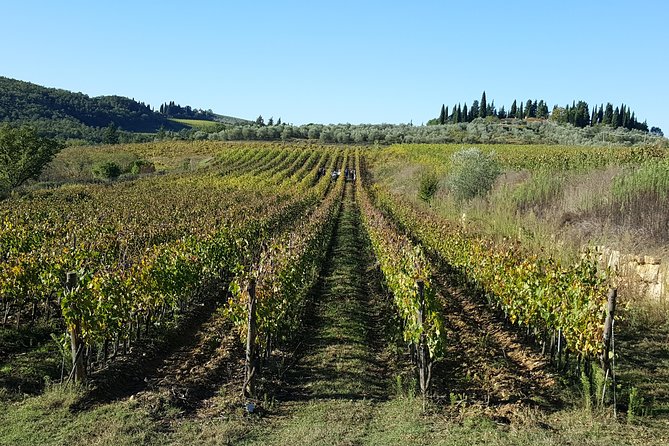 Discover Chianti Through Its Wines - Tasting the Chianti Classics