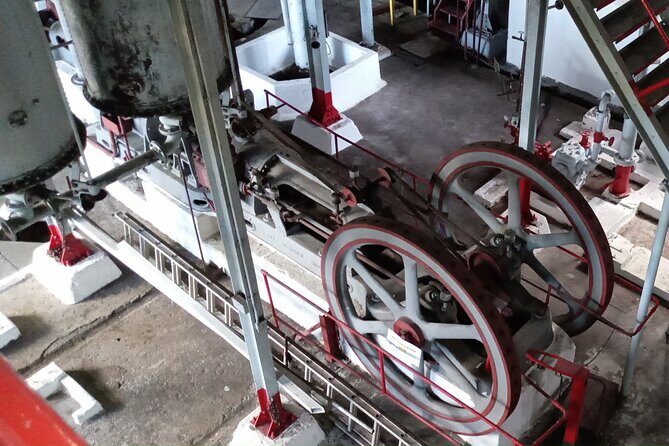 Discover Clarkes Court Rum Distillery  Transportation Only - The Experience: A Closer Look at the Itinerary and Logistics