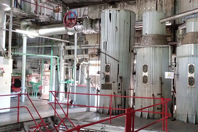 Discover Clarkes Court Rum Distillery  Transportation Only - The Authentic Touch and Learning Opportunities