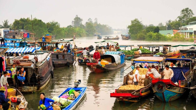 Discover classic Mekong Delta 1 day tour - Who Is This Tour Best For?