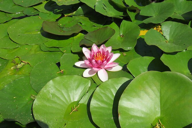 Discover Cliffs and Myths of Bulgarian Northern Black Sea Coast - Traveler Feedback: Insights From Past Participants