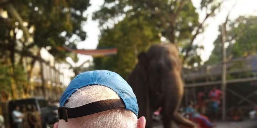 Discover Colombo with Tuk Tuk Tours Sri Lanka - Key Points