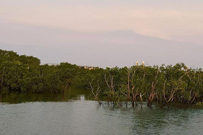 Discover Darwin Harbour 1 hour Darwin Harbour Cruise - Who Will Love This Tour?
