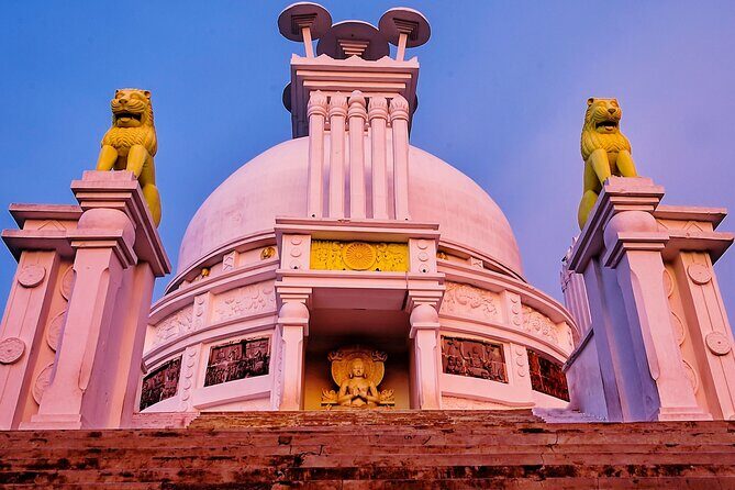 Discover Dhauli Shanti Stupa Bhubaneswar(Guided Halfday Sightseeing Tour by Car) - Who Should Consider This Tour?