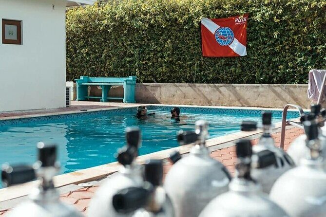 Discover Diving in Curaçao with Transportation Included - FAQ