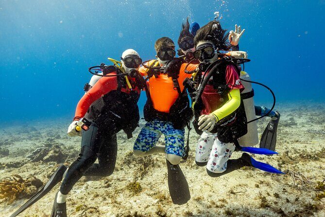 Discover Diving in the Reefs of Cozumel - Key Points