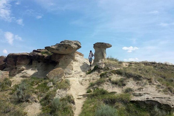 Discover Drumheller, Horseshoe Canyon, Royal Tyrrell Museum - Who Should Consider This Tour?