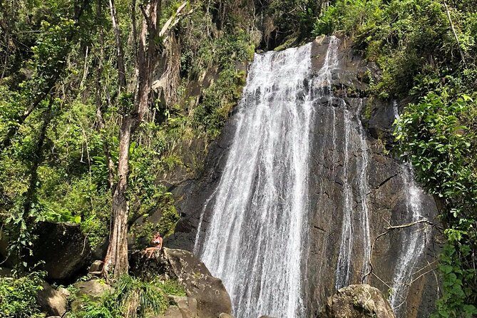 Discover El Yunque National Park: Half-Day Rainforest Tour - A Friendly Introduction to El Yunque