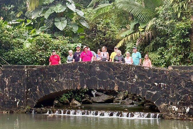 Discover El Yunque National Park: Half-Day Rainforest Tour - The Sum Up