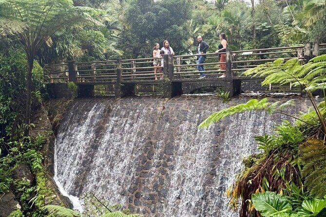 Discover El Yunque National Park: Half-Day Rainforest Tour - FAQs