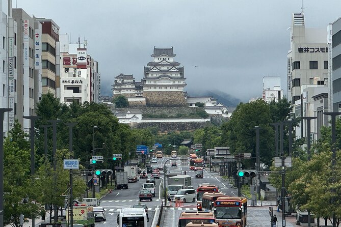 Discover Every Bit of Himeji Castle - World Heritage Near Osaka - Experiencing the Castles History