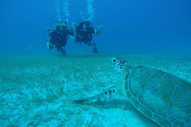 Discover Fajardo: 2-Tank Scuba Diving - Key Points