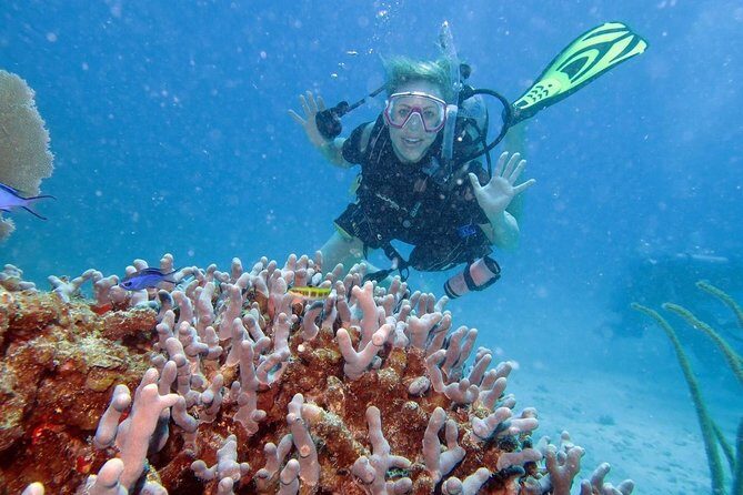 Discover Fajardo: 2-Tank Scuba Diving - What’s Included and What to Expect