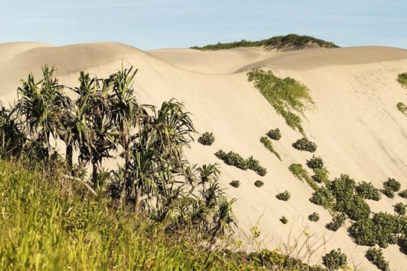 Discover Fijian Culture and Reptiles - Final Thoughts: Is This Tour Right for You?