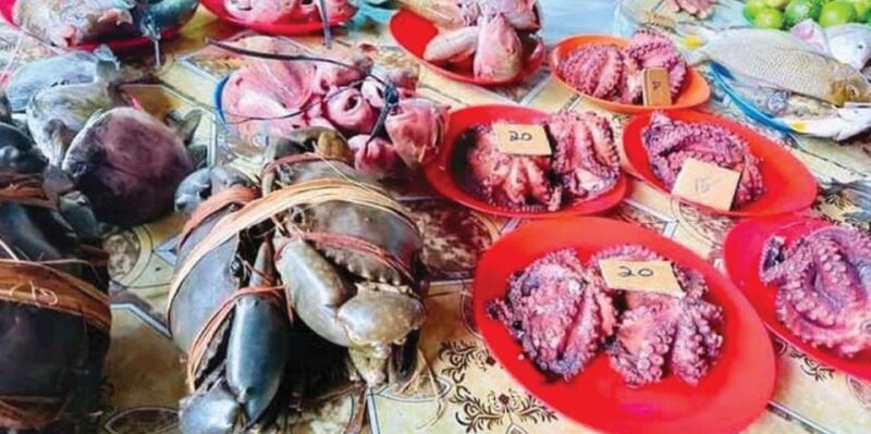 Discover Fijian Culture and Reptiles - Who Will Love This Tour?