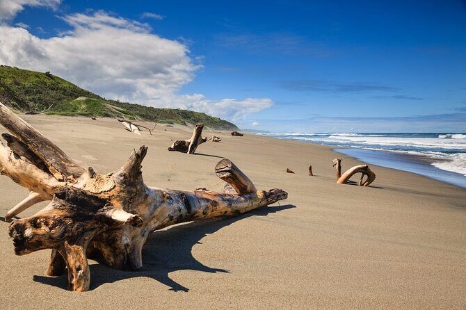 "Discover Fiji's Hidden Gems: Eco Park, Pottery Village & Dunes!" - FAQ