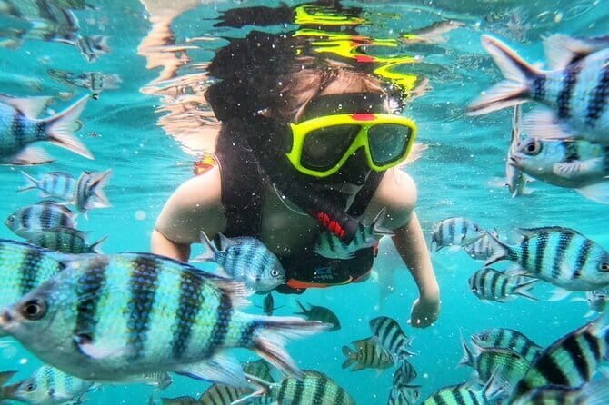 Discover Five Islands on a Snorkeling Adventure from Ko Samet - Key Points