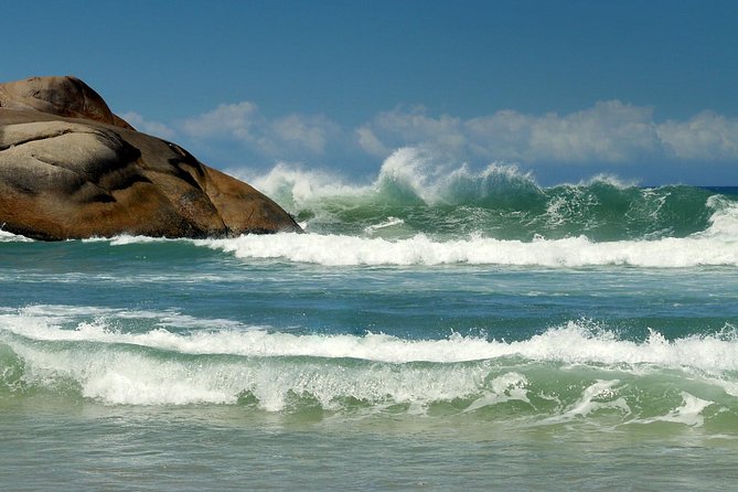 Discover Florianópolis: Full Day City Tour and Local Highlights - Weather Considerations