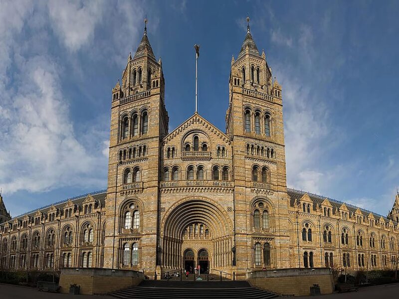 Discover Fossils & Gems at Natural History Museum - The Sum Up: Who Will Benefit Most?