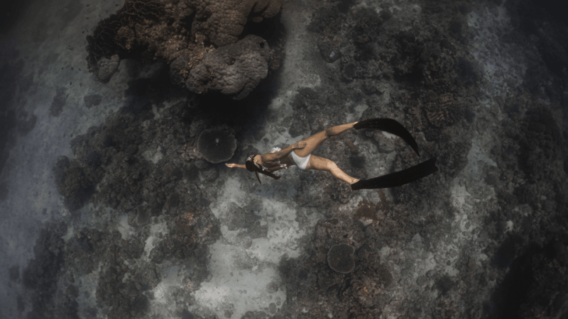 Discover Freediving in Boracay - FAQs