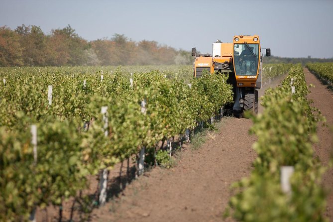 Discover Full TRANSNISTRIA From Chisinau - Exploring Suvorov Monument and Tank Monument