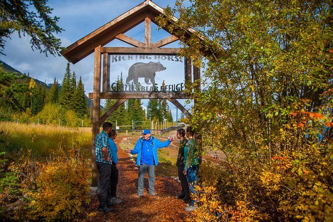 Discover Grizzly Bears from Banff - An Honest Look at What You Can Expect