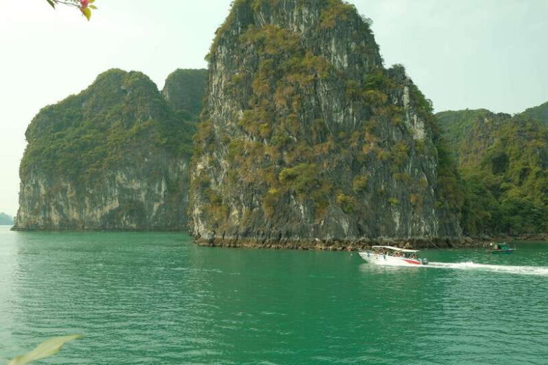 Discover Ha Long Bay's Wonders on a Day Cruise from Hanoi - Final Thoughts: Who Will Love This Tour?