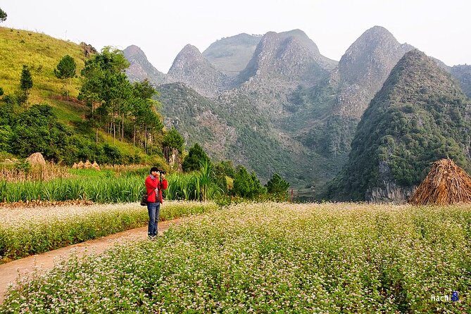 Discover Hagiang 3 Days 2 Nights From Hanoi - The Appeal of Ha Giang: Why Visit?