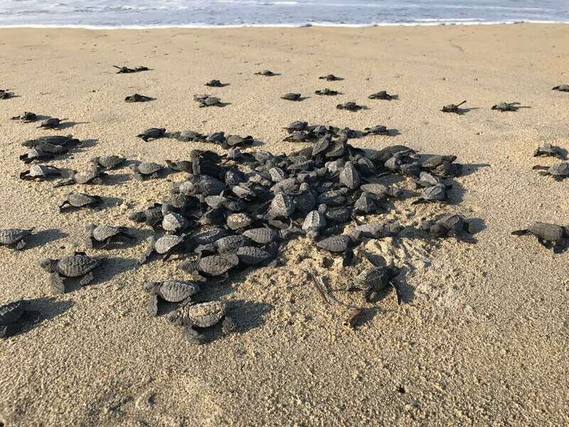 Discover Huatulco: Beach, Flavors, and More - FAQ