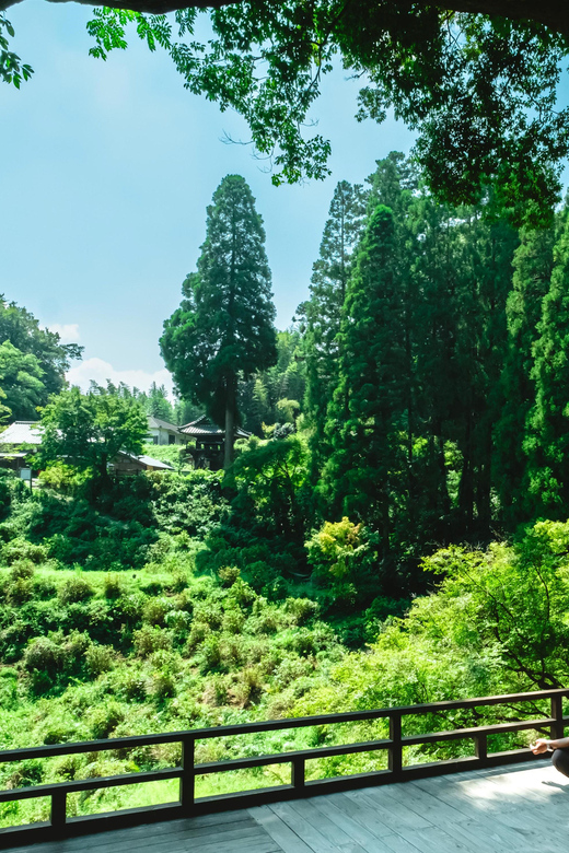 Discover Inner Peace at Fukoji Temple: Meditation Experience - Experience Highlights