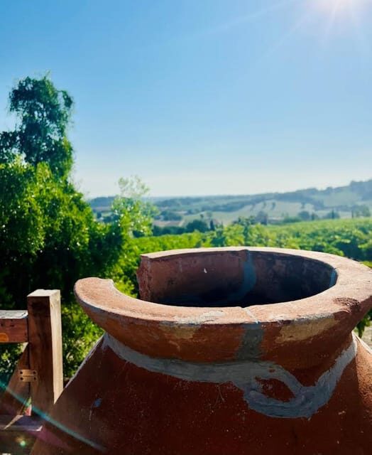 Discover Italian Wines: Exclusive Tasting at Tenuta La Viola - An Honest Look at the Experience