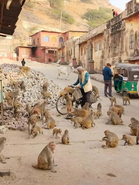 Discover Jaipur - Key Points
