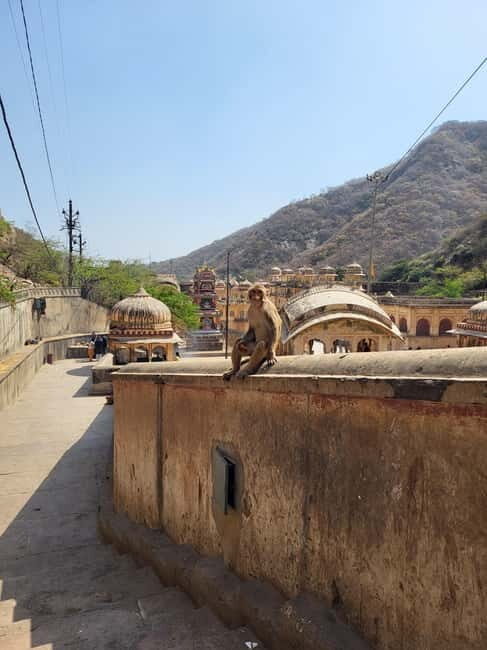 Discover Jaipur - Why Choose This Jaipur Tour?
