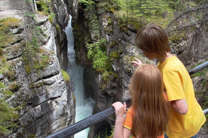 Discover Jasper and its Wildlife - Final Thoughts