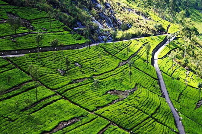 Discover Kandy by Helicopter From Hatton - FAQ