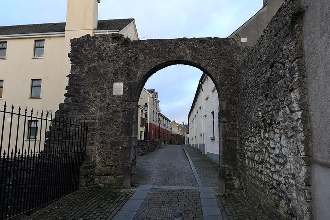 Discover Kilkenny With John: Animated Guided Tour in French - Exploring Kilkennys Hidden Gems