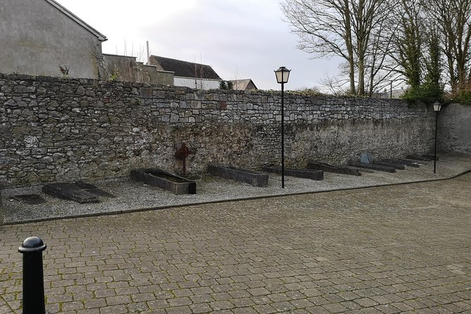 Discover Kilkenny With John: Animated Guided Tour in French - Accessibility and Physical Requirements