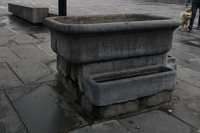 Discover Kilkenny With John: Animated Guided Tour in French - Positive Customer Feedback and Testimonials