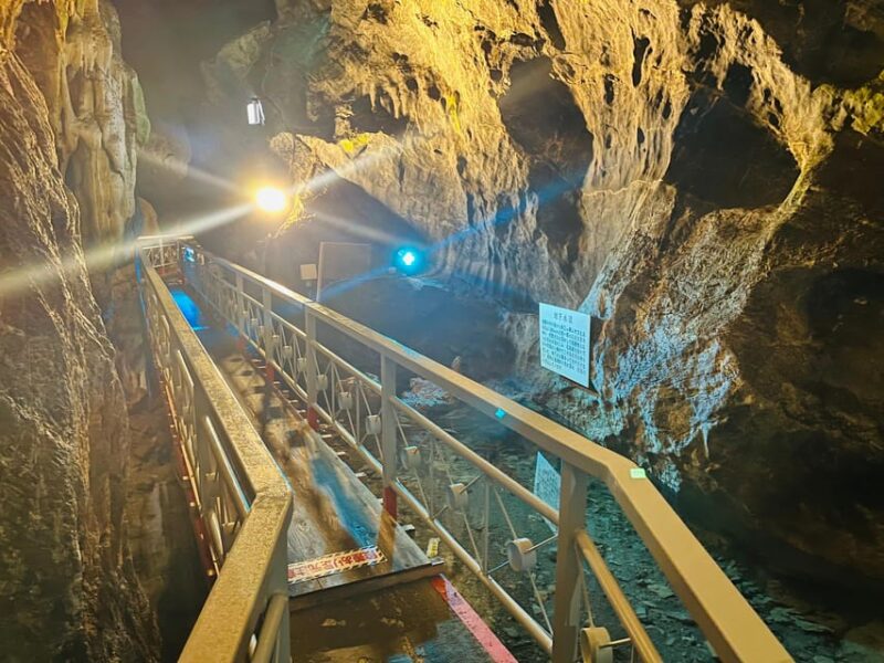 Discover Kumamotos Hidden Gem: Kumamoto Awaits You - Discover the Convenience of Multiple Pickup and Drop-off Options