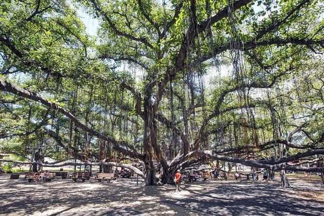 Discover Lahaina: Self-Guided Audio Tour - An In-Depth Look at the Lahaina Self-Guided Audio Tour