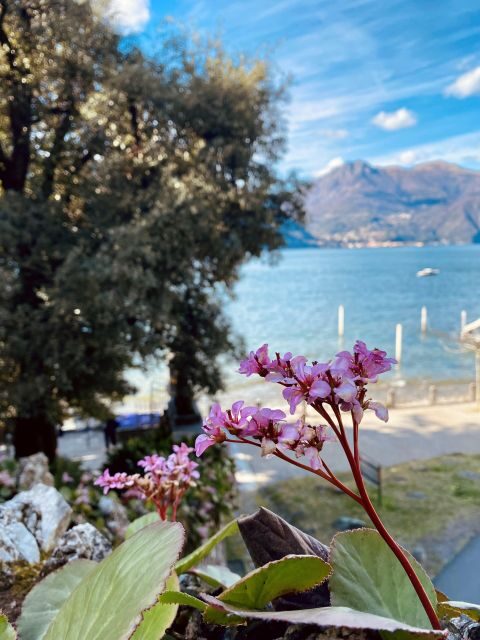 Discover Lake Como & Bellagio with a local - Key Points