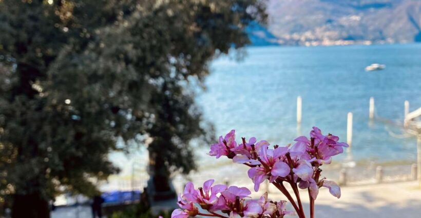 Discover Lake Como & Bellagio with a local - An Inviting Introduction to Lake Como